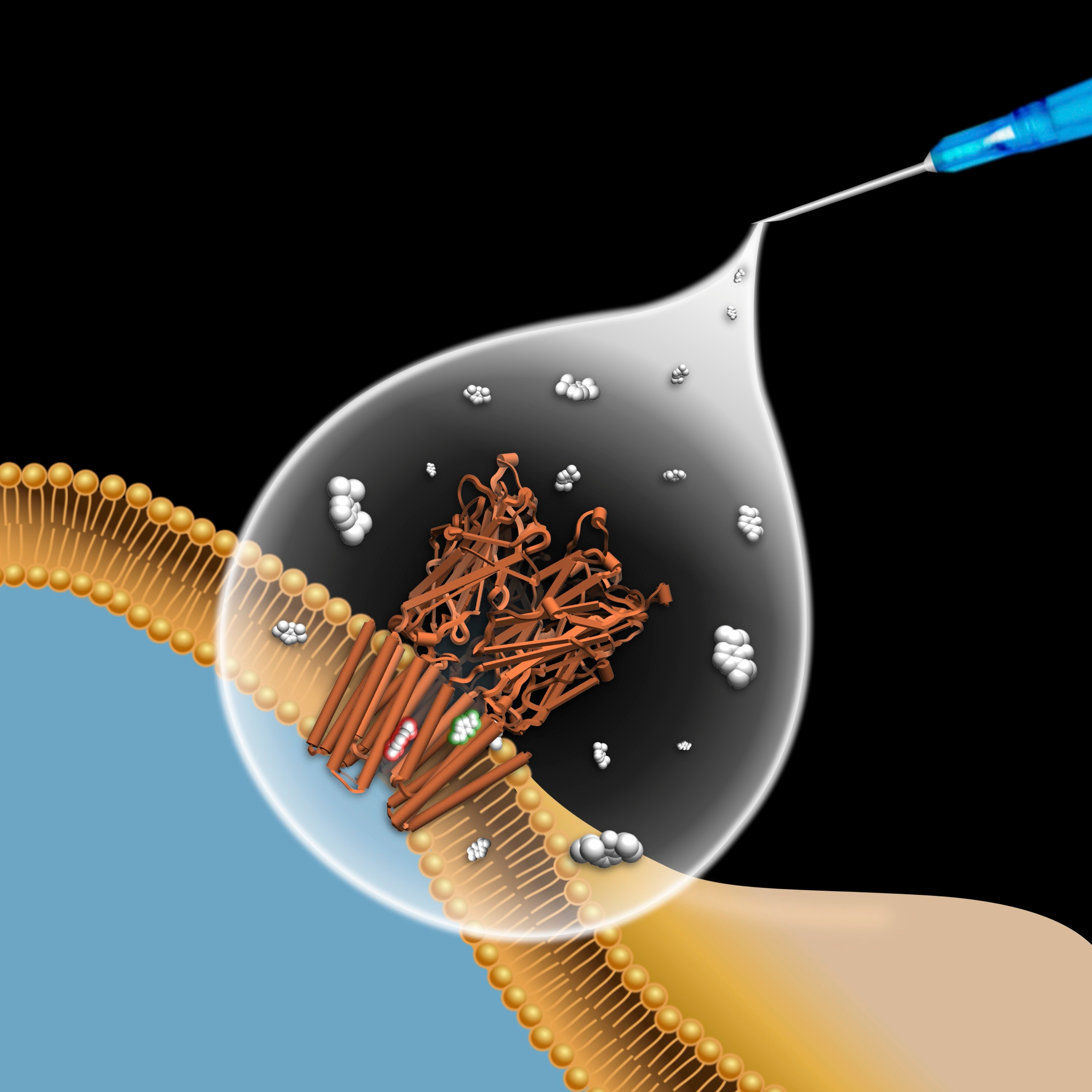 Integrative Structural Biology - Molecular Biophysics Stockholm